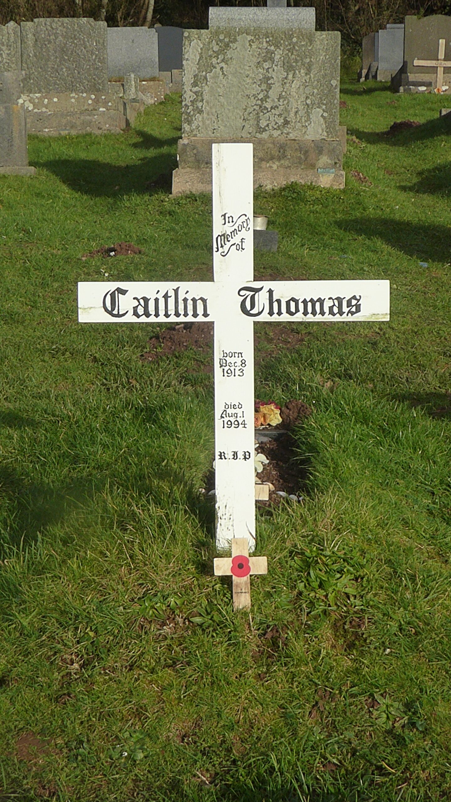 Dylan Thomas: Poems of Life, Death, and Mortality. - Grave Stories
