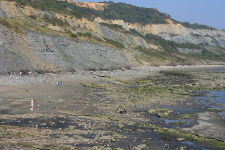 Mary Anning Rocks; A Story of Passion and Purpose - Grave Stories