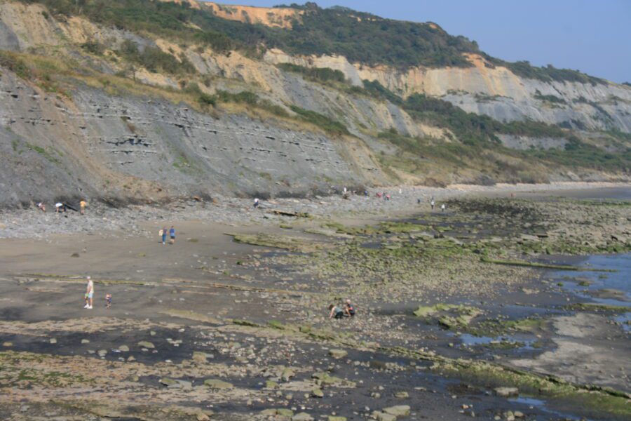 Mary Anning Rocks; A Story of Passion and Purpose - Grave Stories