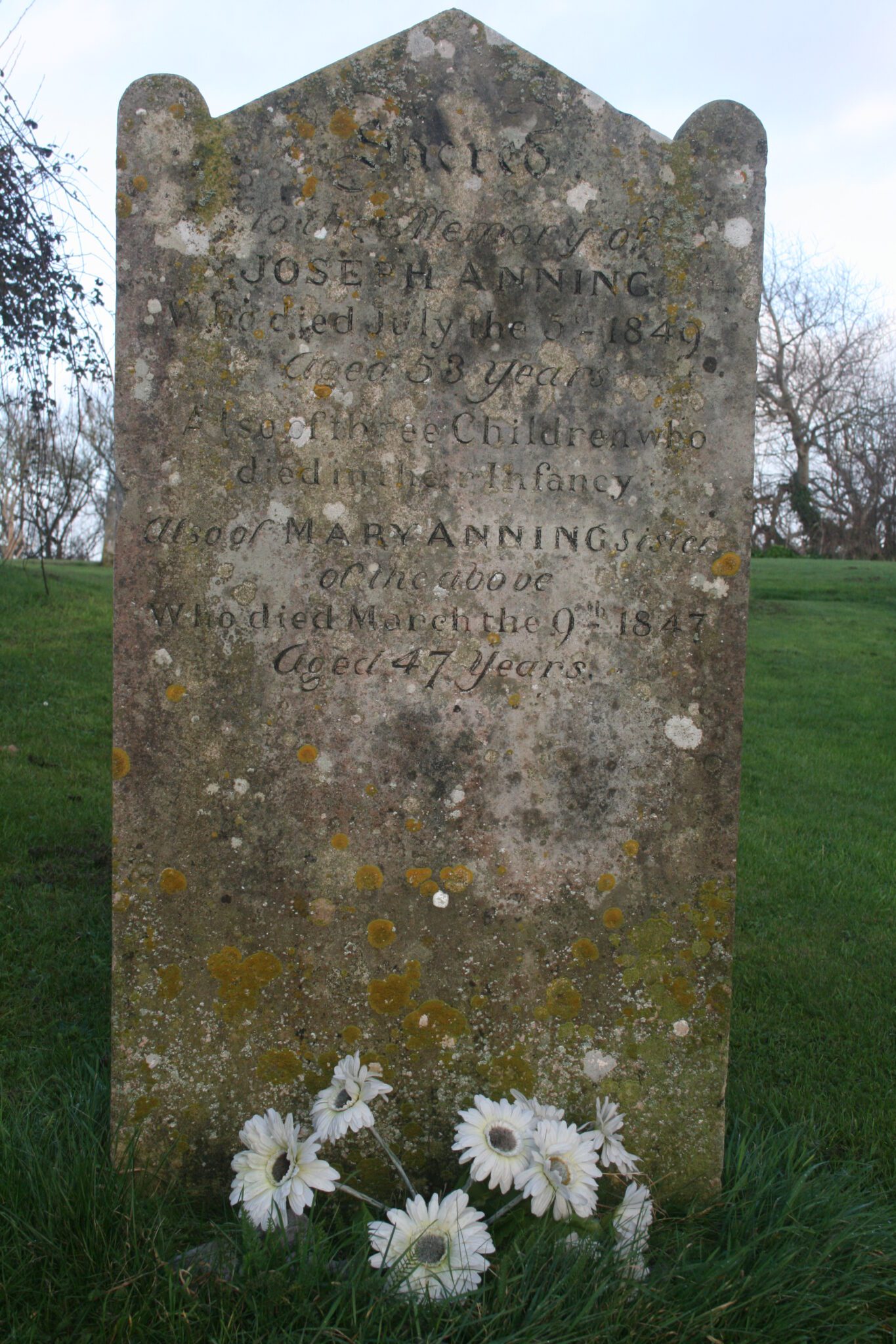 Mary Anning Rocks; A Story of Passion and Purpose - Grave Stories